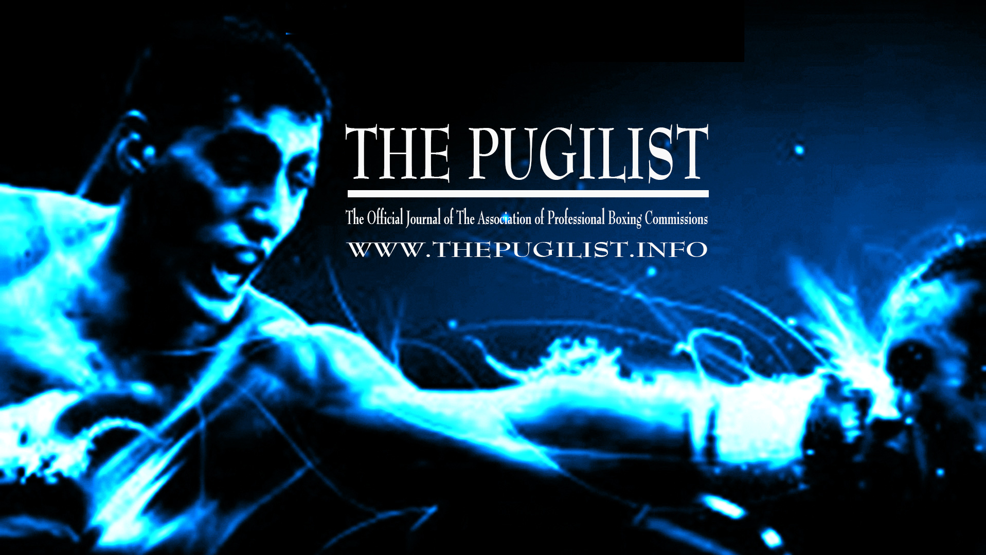 The Pugilist – Association Of Professional Boxing Commissions